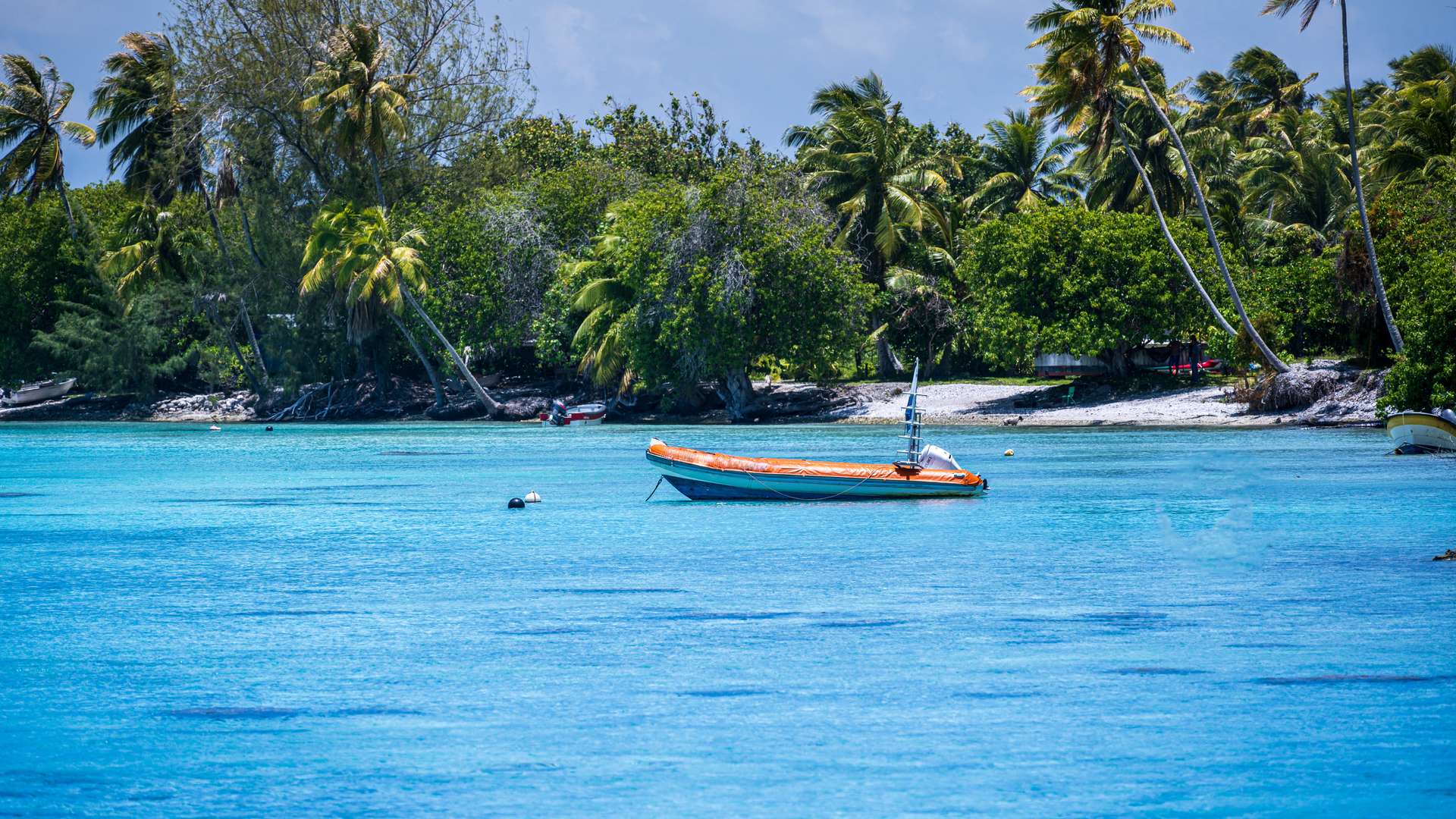 13-Day Oceania and Fiji Islands Cruise Aboard DISCOVERY PRINCESS